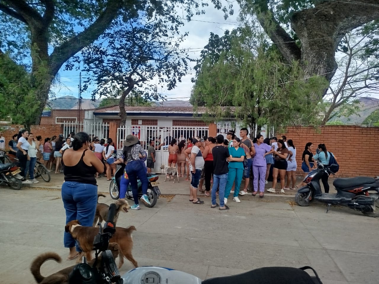 Gobernación del Tolima acompaña en territorio la atención a las ...